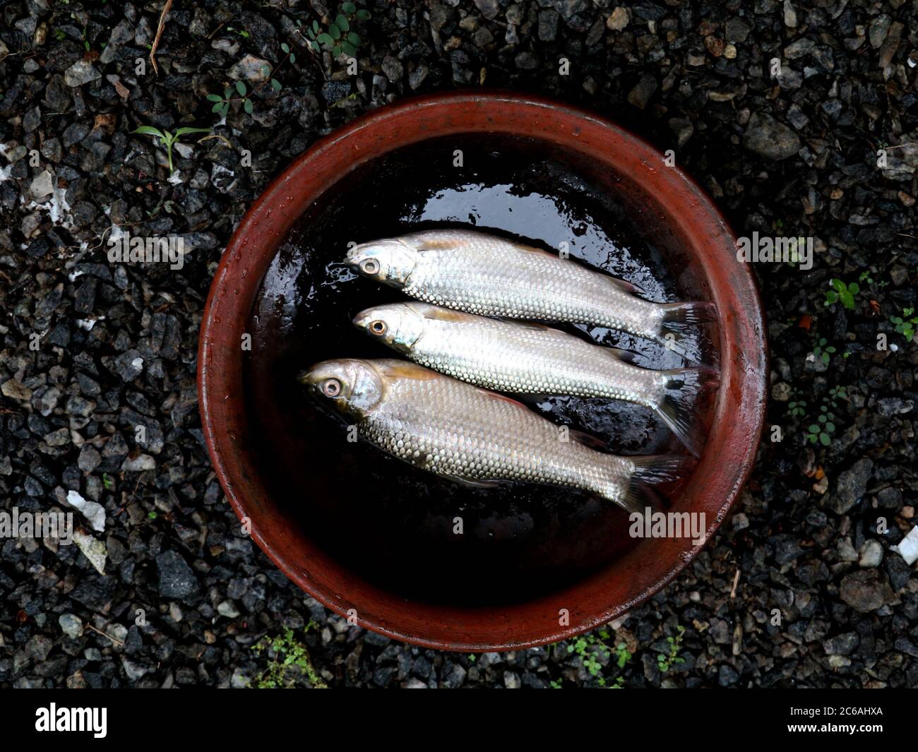 Raw clay pond hi-res stock photography and images - Alamy