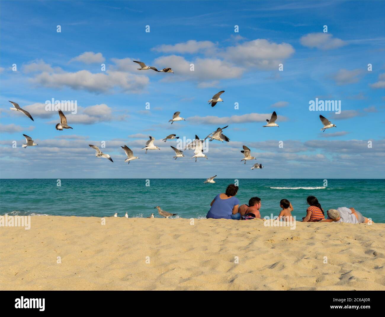 Birds flying at beach hi-res stock photography and images - Alamy