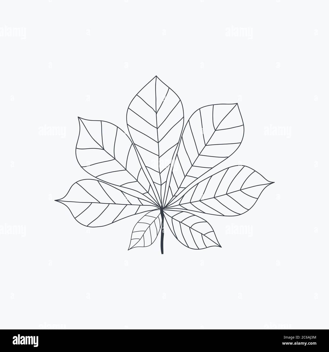 Chestnut leaf icon isolated. Vector Illustration EPS10 Stock Vector ...