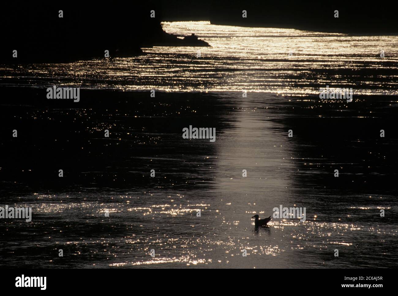 Deception Pass from Lighthouse Point Trail, Deception Pass State Park ...