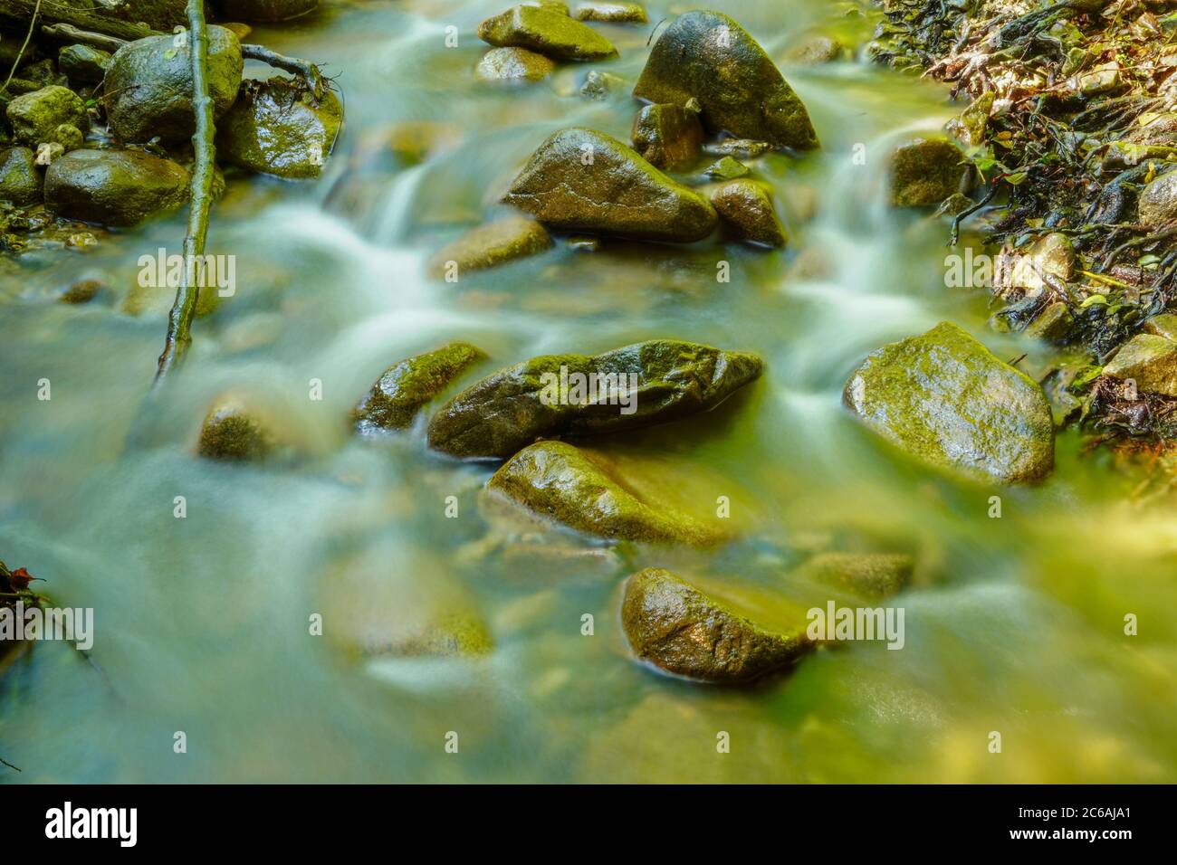 Beautiful peaceful flowing river surrounded hi-res stock photography ...
