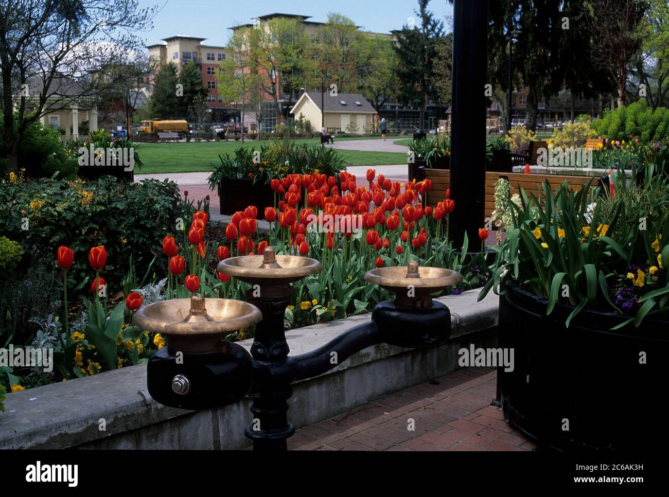 Water fountain, Esther Short Park, Vancouver, Washington Stock Photo ...