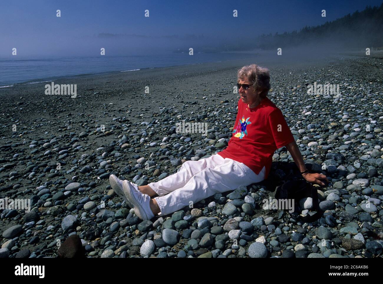 Beach on Admiralty Inlet, Fort Worden State Park, Washington Stock ...