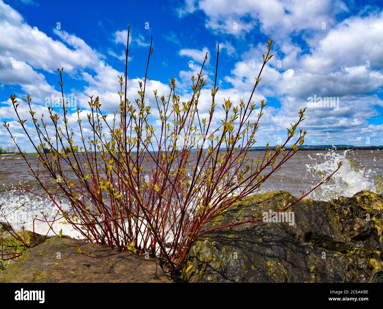 Ottawa river waterfront hi-res stock photography and images - Alamy