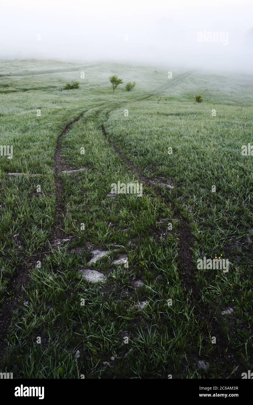 Serene scene of empty road through green grass in morning mist vertical ...