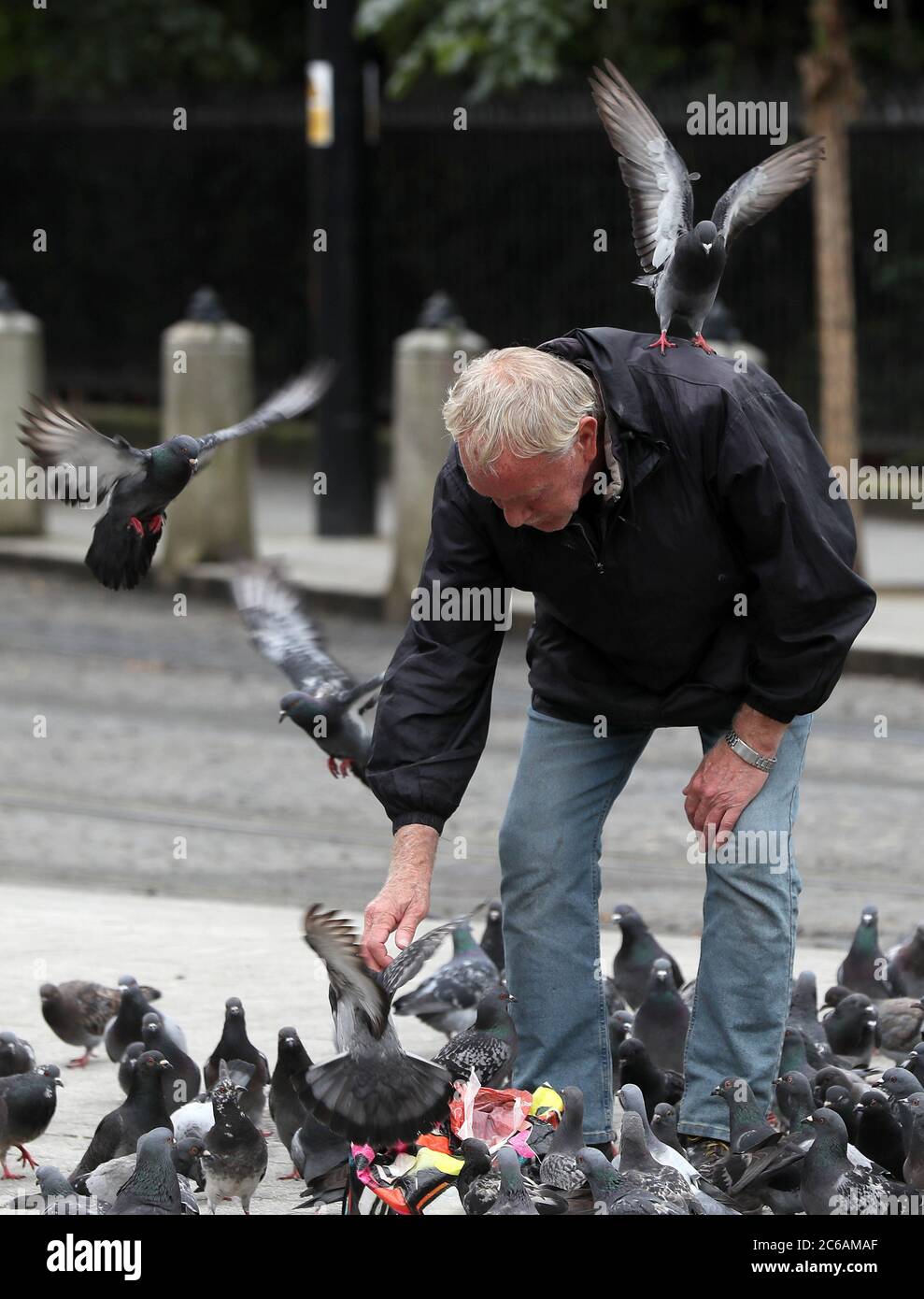 Daniel H feeds pigeons at St. Stephen's Green in Dublin Stock Photo - Alamy