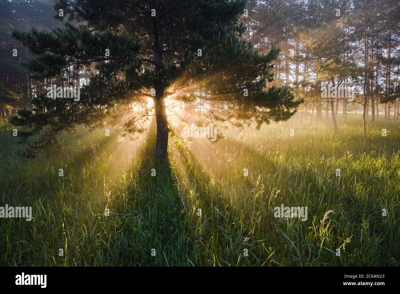 Long horizontal landscape hi-res stock photography and images - Alamy