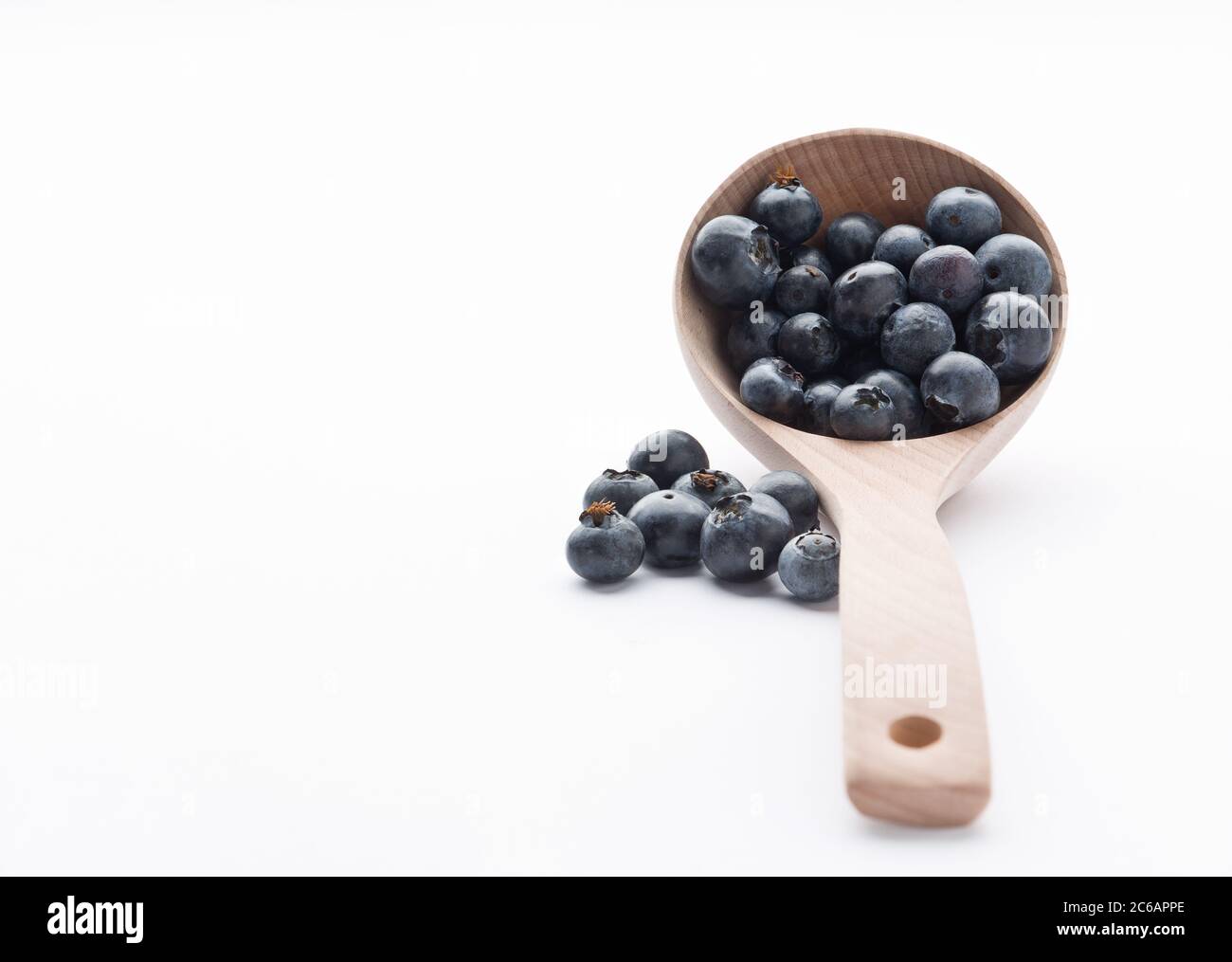Black cranberry (Vaccinium uliginosum) is native to temperate regions ...