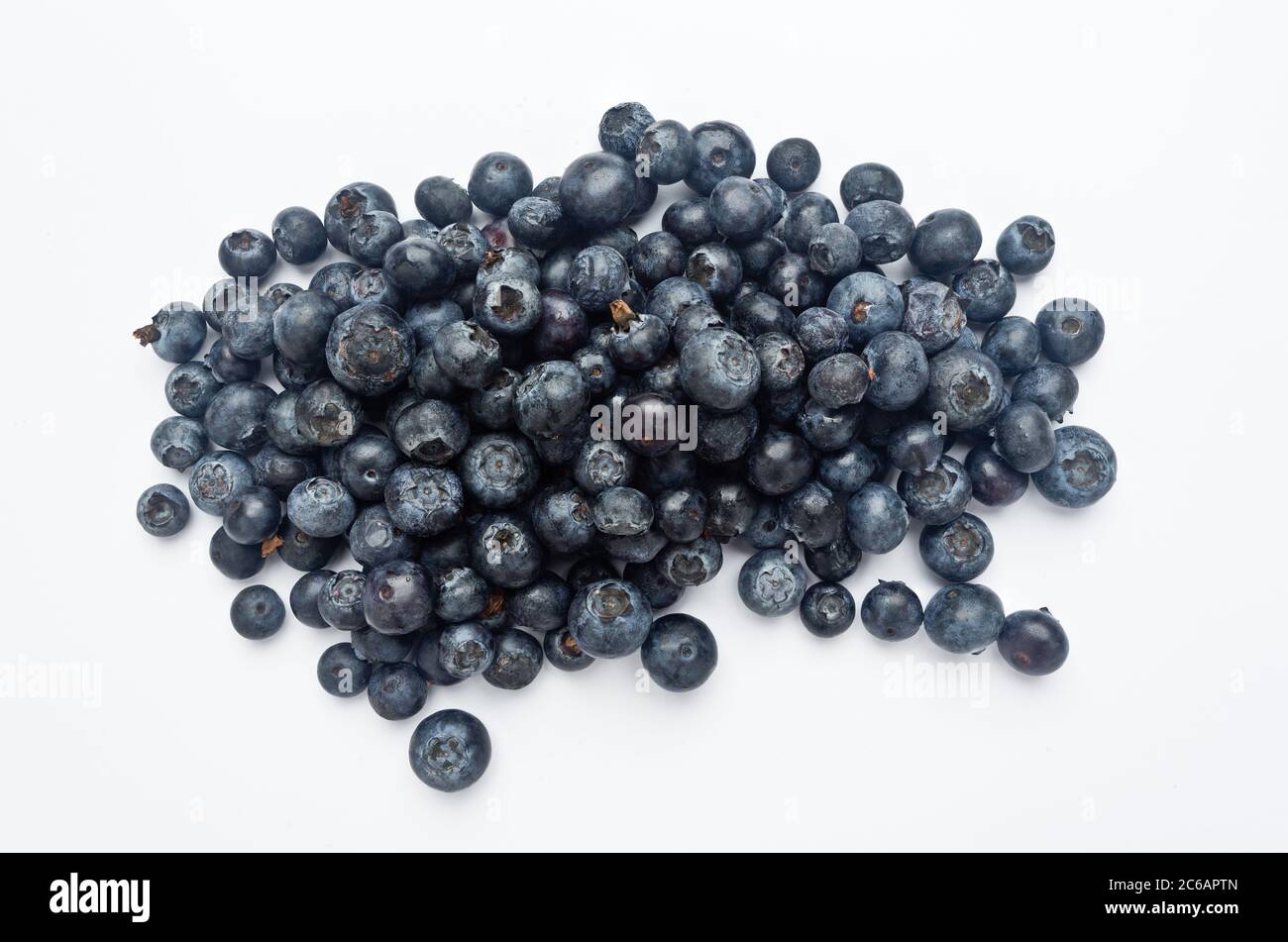 Black cranberry (Vaccinium uliginosum) is native to temperate regions ...