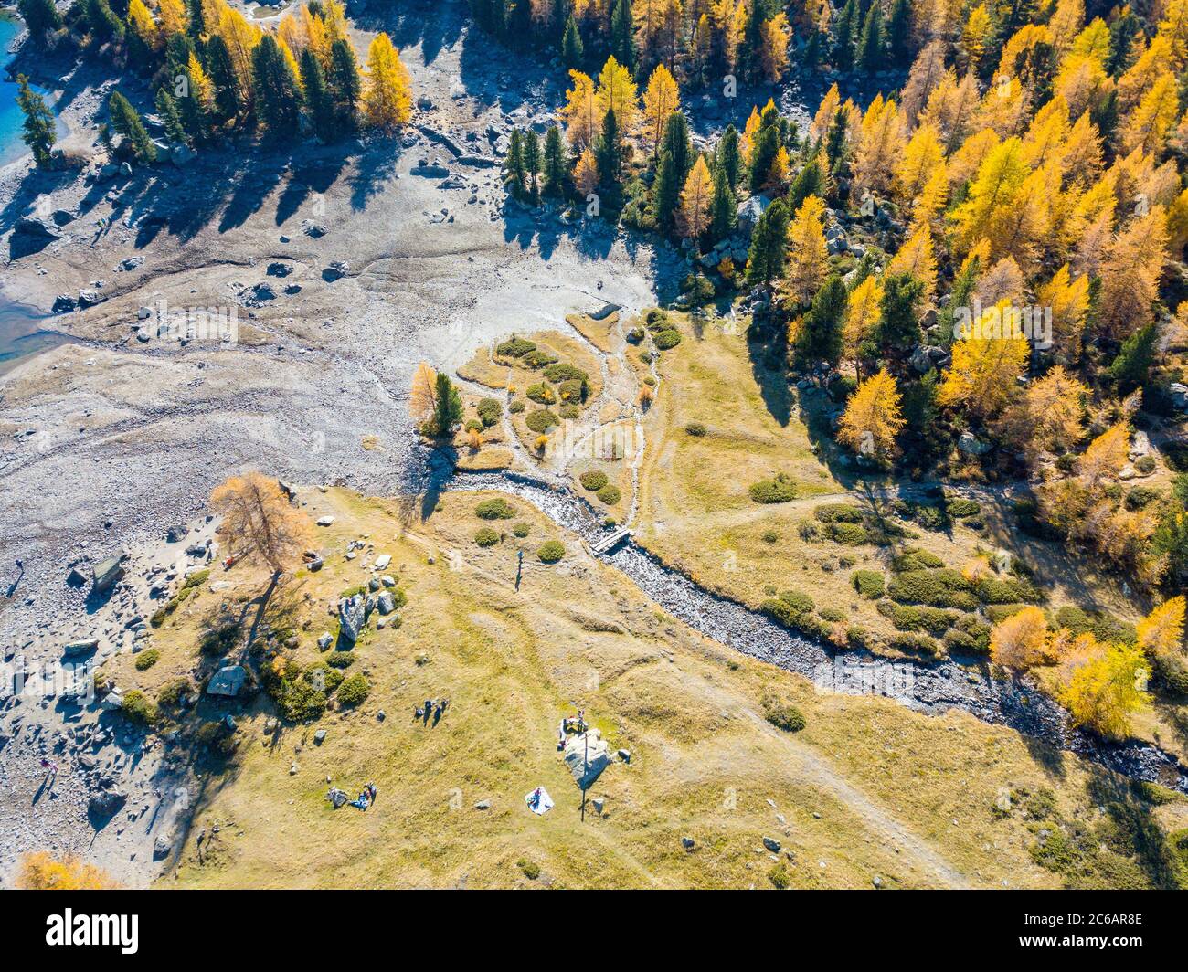 Aerial image by drone - Forest and wetland in the golden fall season in ...