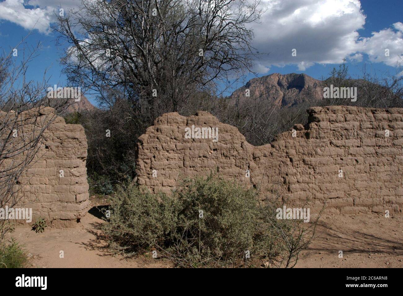 Sam nail hi-res stock photography and images - Alamy