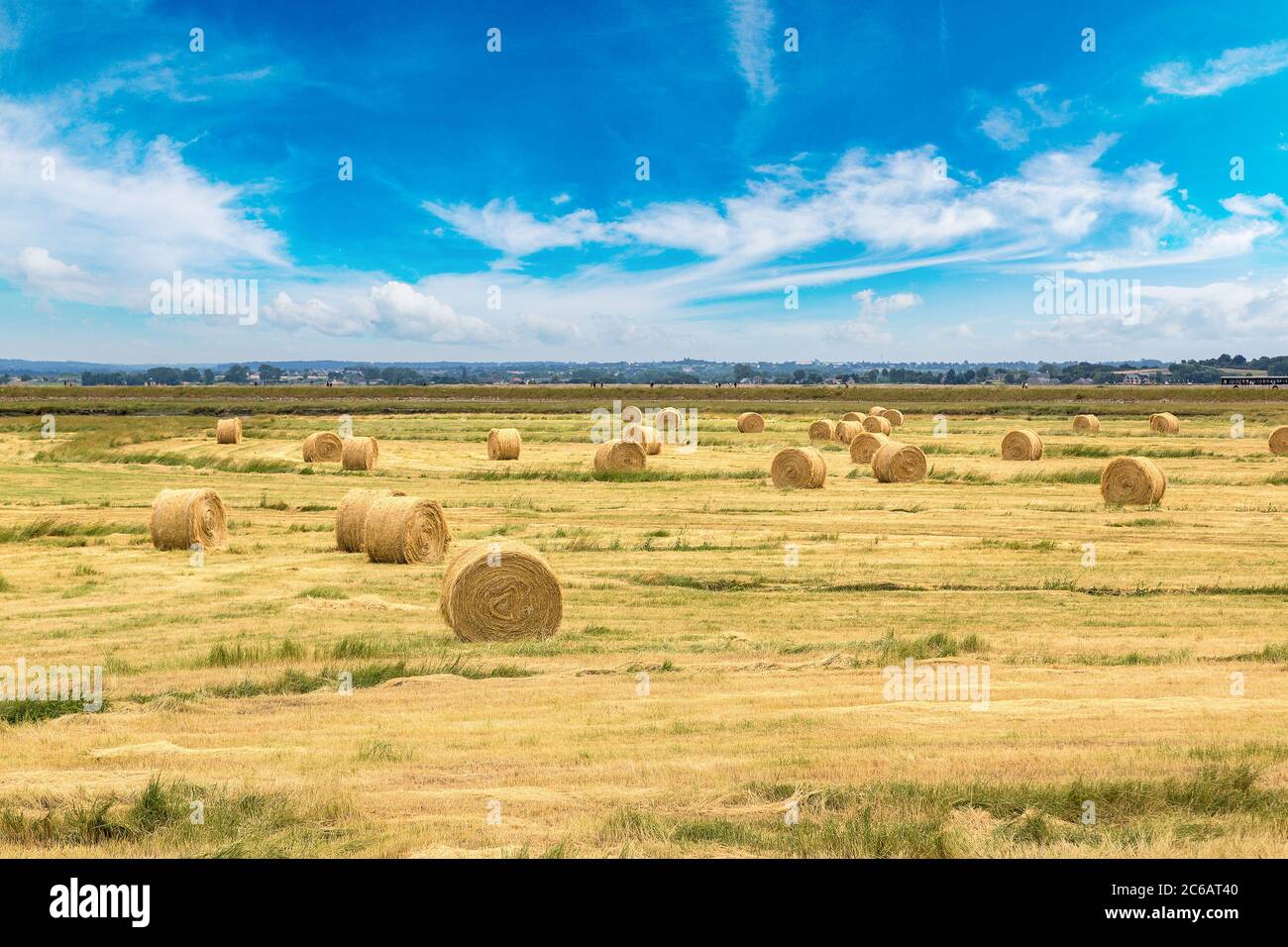 Hay bale field in a beautiful summer day Stock Photo - Alamy