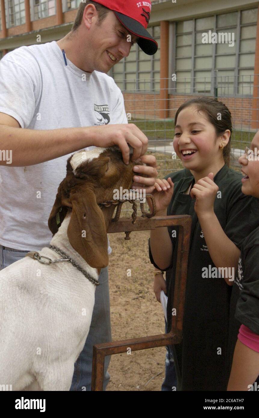Goat teeth hi-res stock photography and images - Alamy