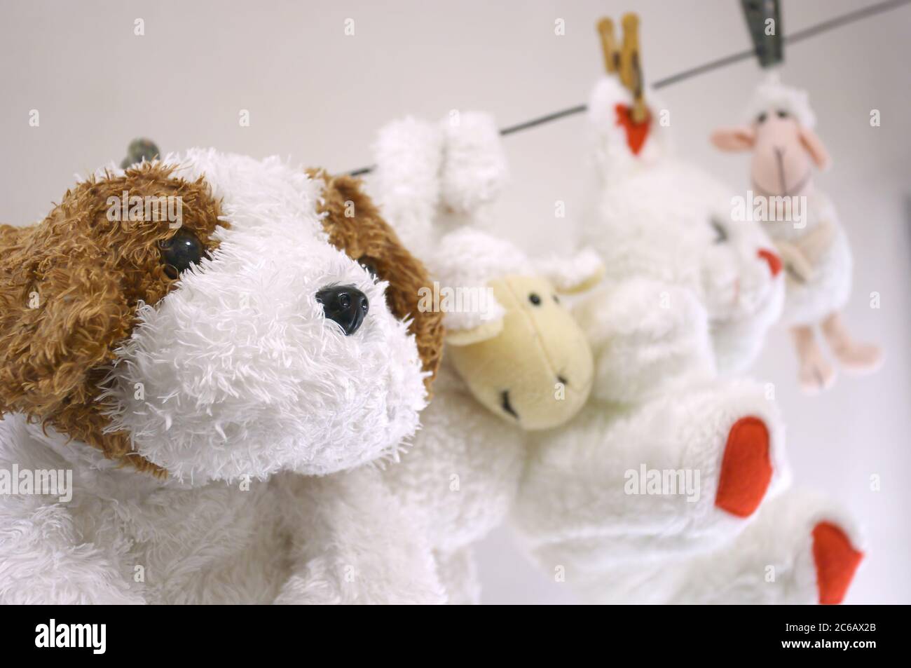 Toys hanging on the string (after washing Stock Photo - Alamy