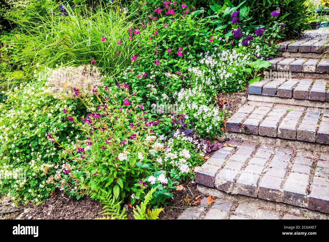 Steps paving hi-res stock photography and images - Alamy