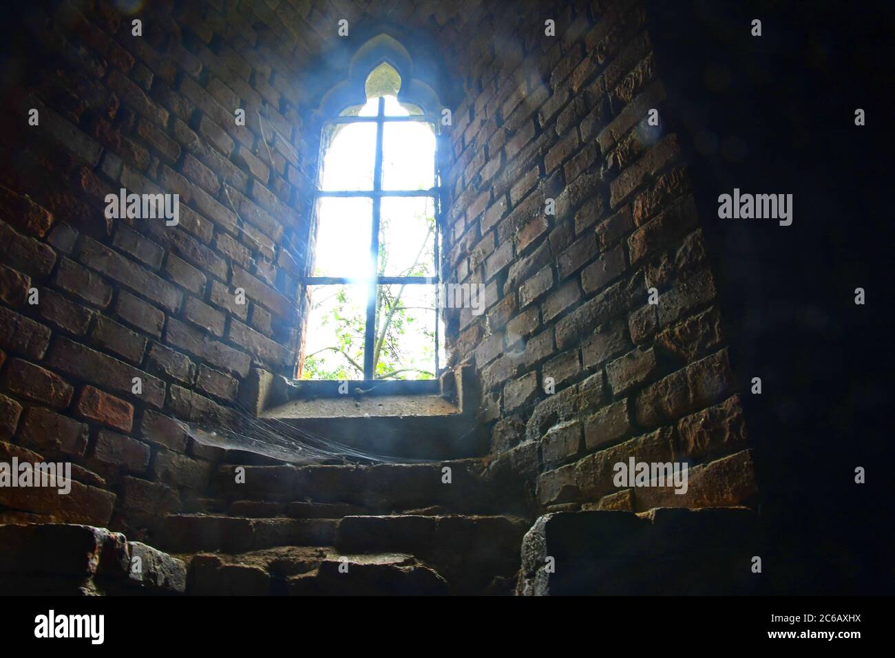 Gothic window. Ruins of medieval convent. Convent Rosa Coeli at Dolni ...
