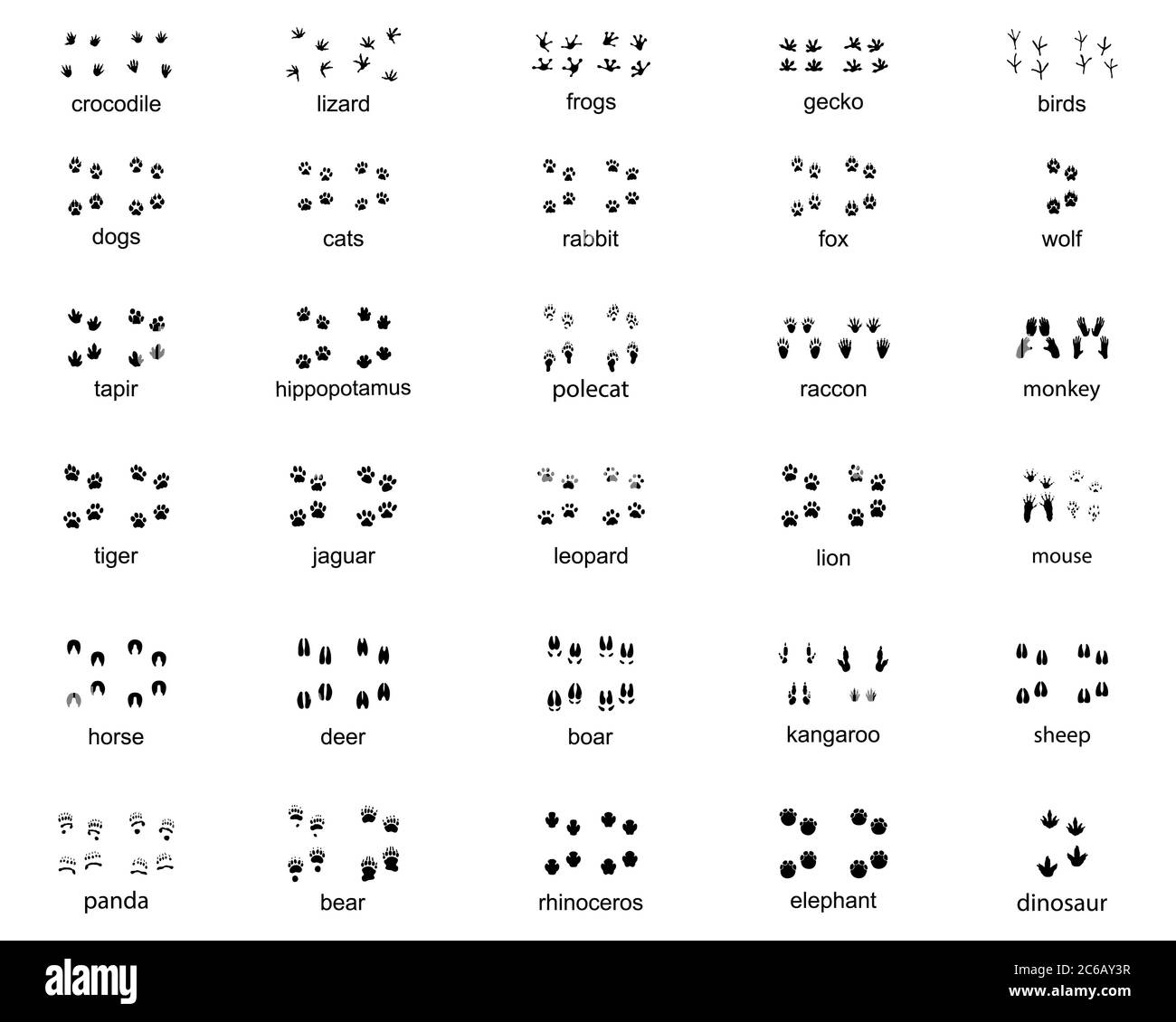 Leopard gecko on white background Cut Out Stock Images & Pictures - Alamy