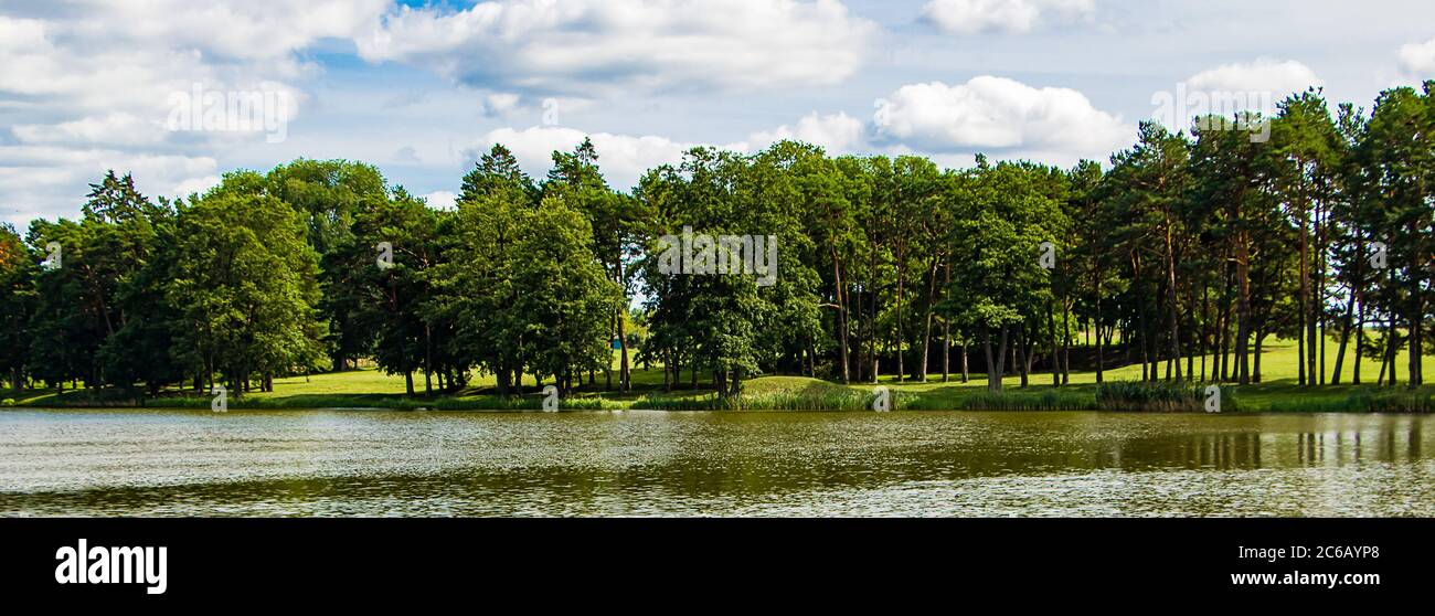 A beautiful pond among green trees. Summer sunny landscape. Banner ...