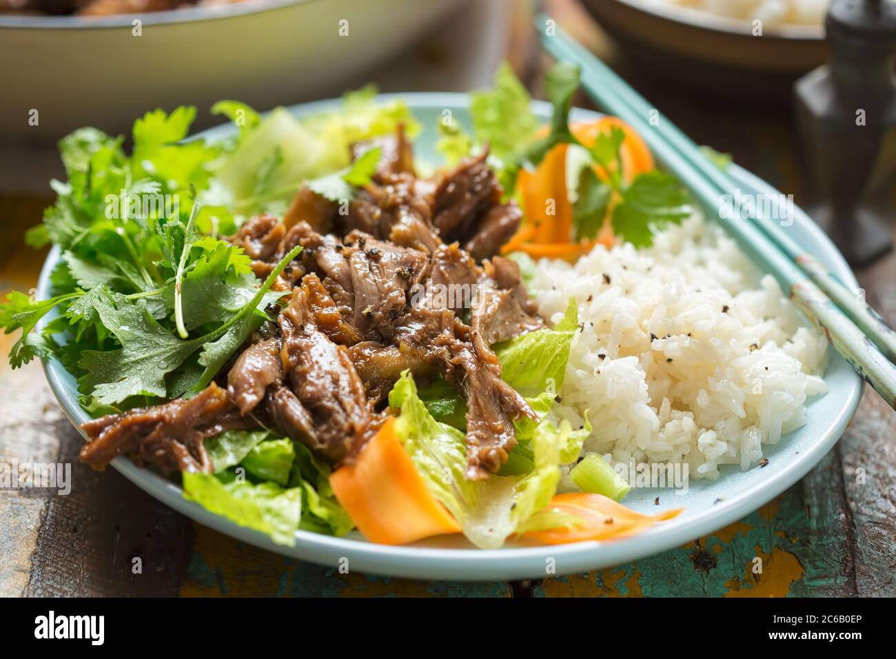 Hoisin duck with sticky rice and vegetable salad Stock Photo - Alamy