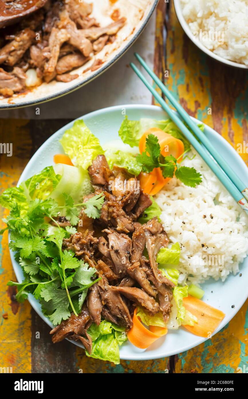 Hoisin duck with sticky rice and vegetable salad Stock Photo - Alamy