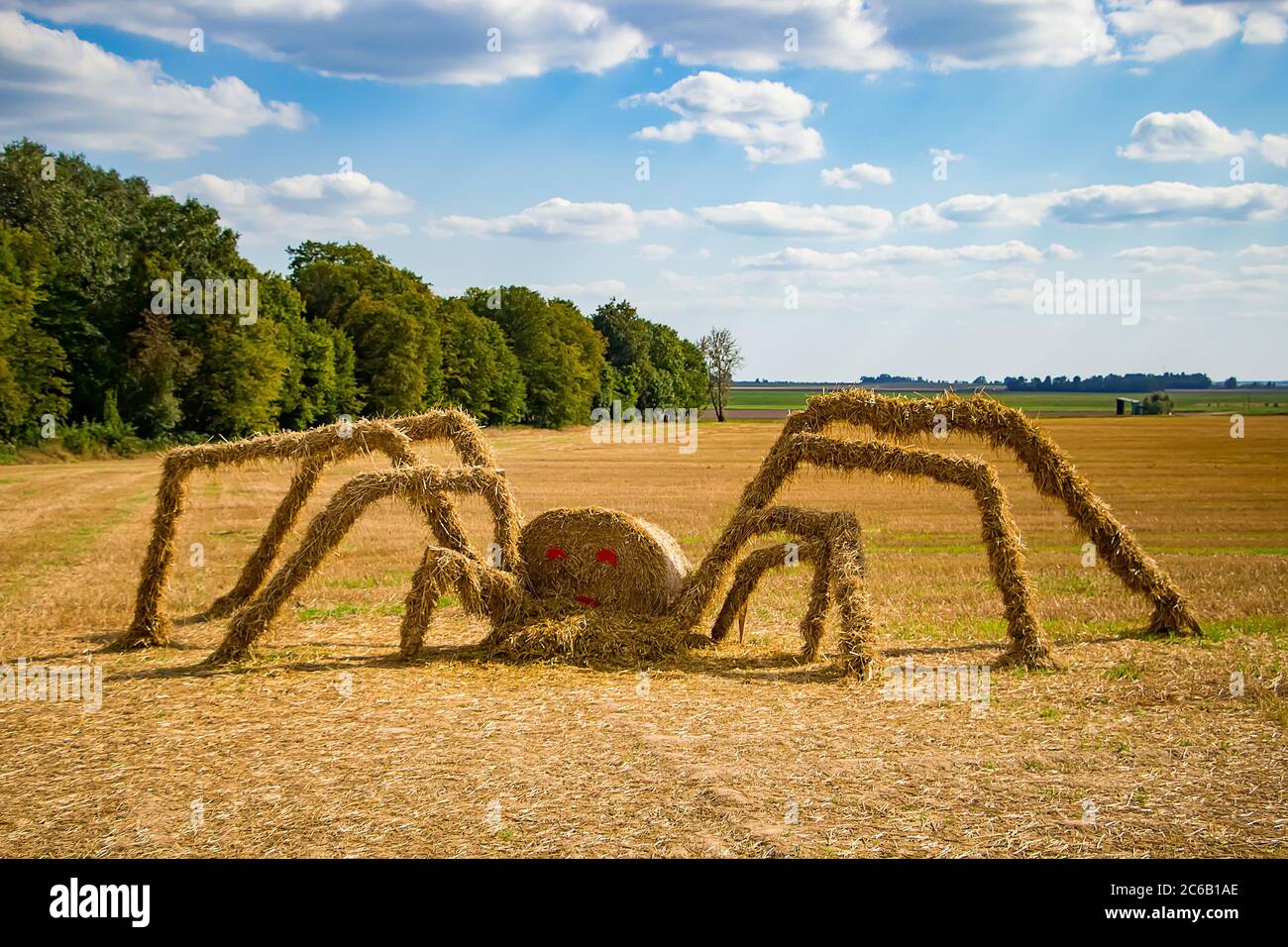 Mystical sculpture for Halloween - a huge spider made of straw Stock ...