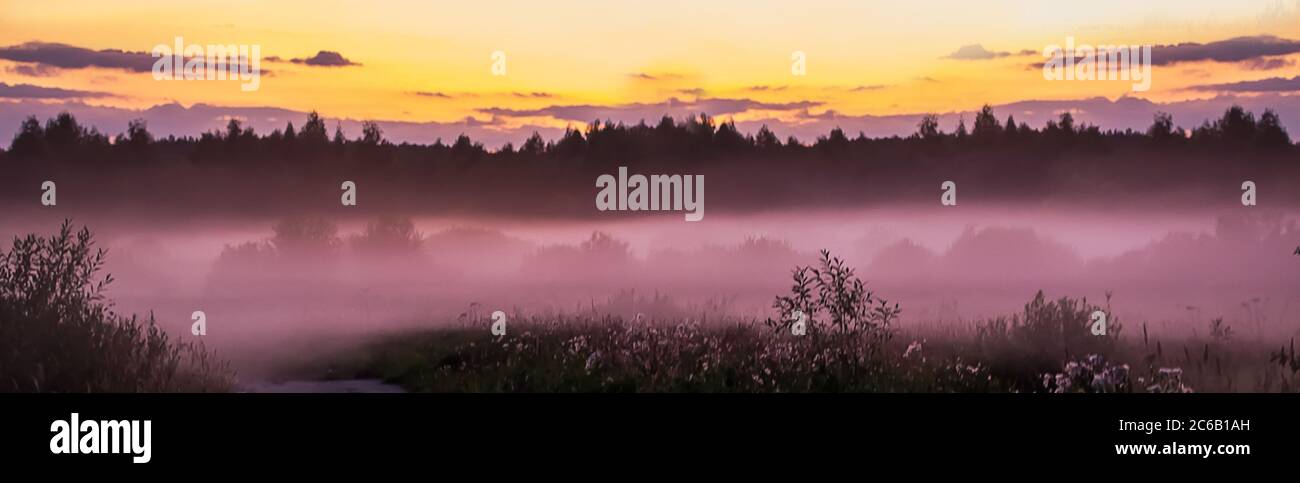 Beautiful pink fog at sunset. Twilight on the nature in the forest ...