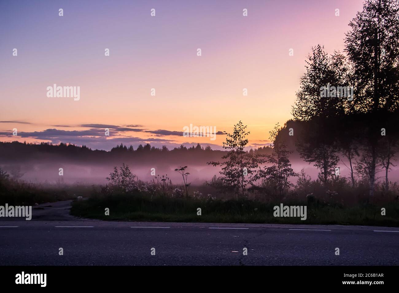 Beautiful purple and pink fog in the forest at sunset. Twilight in ...