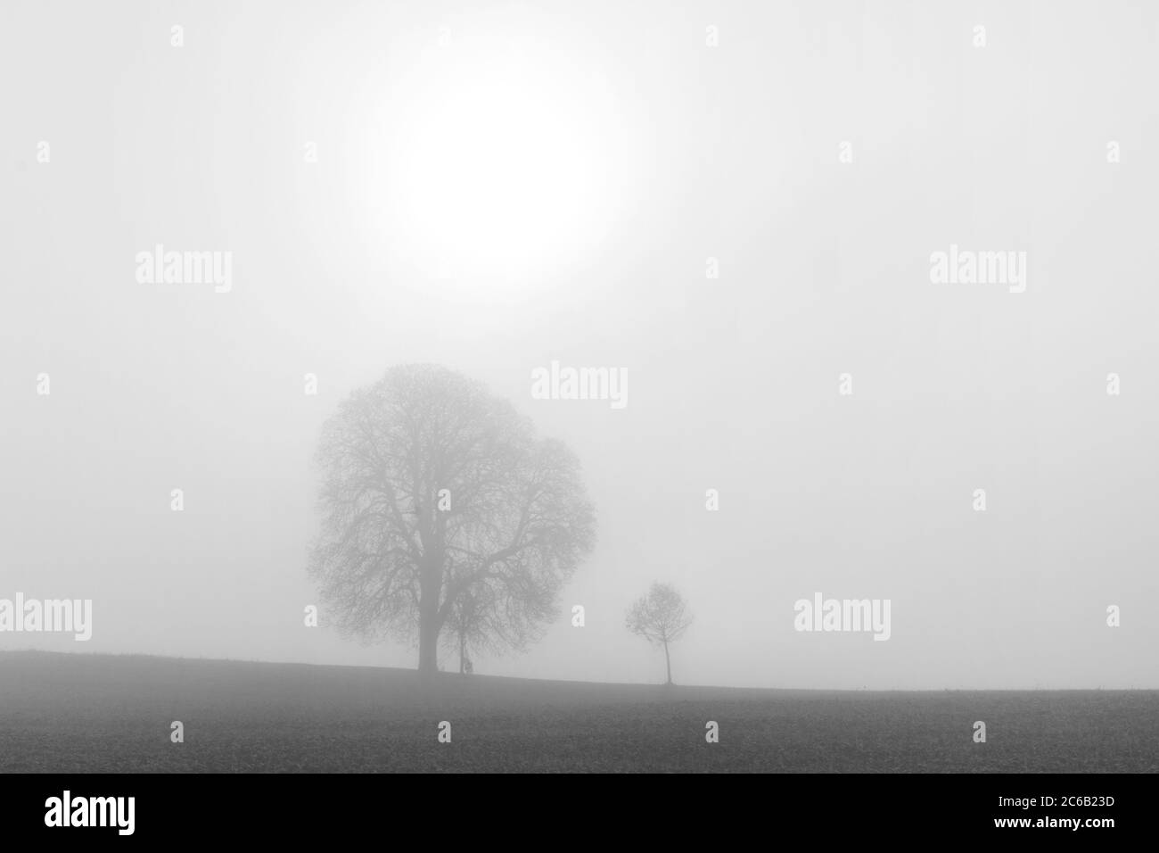 Early morning sun rising and gray morning mist in fall season over the ...