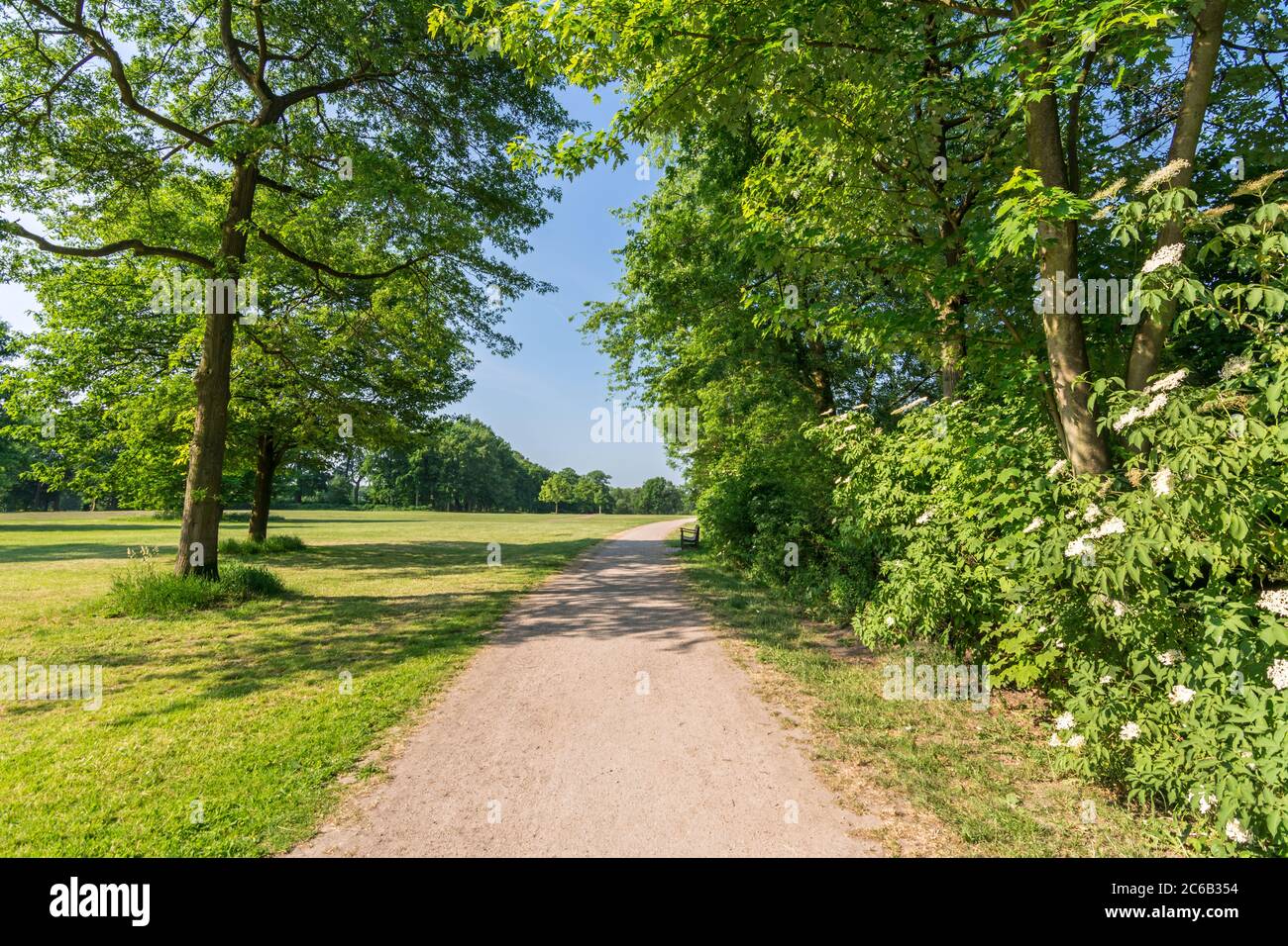 Foot path in a peaceful park in summer Stock Photo - Alamy