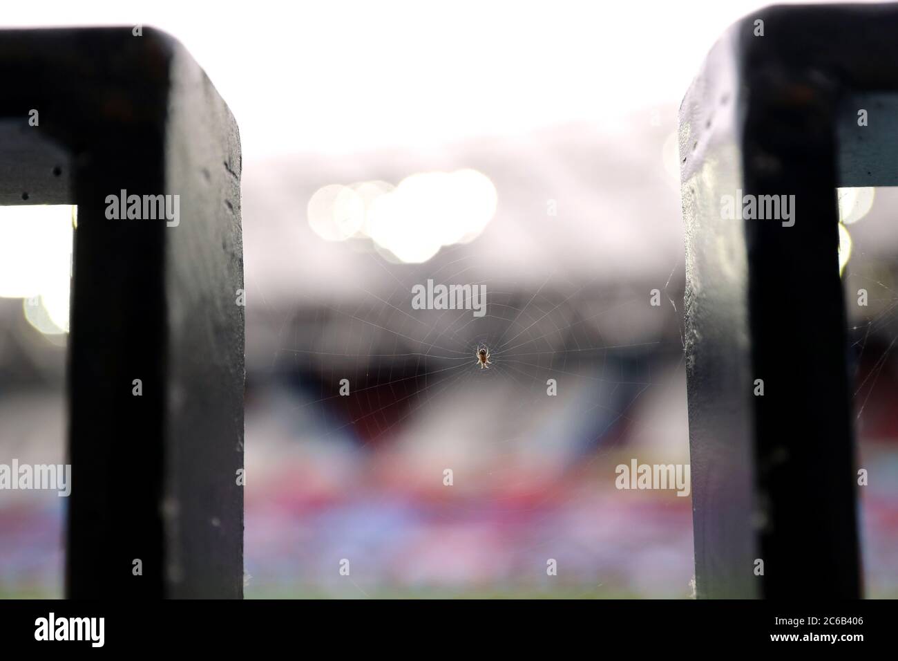 A spider in a web in the stands before the Premier League match at ...