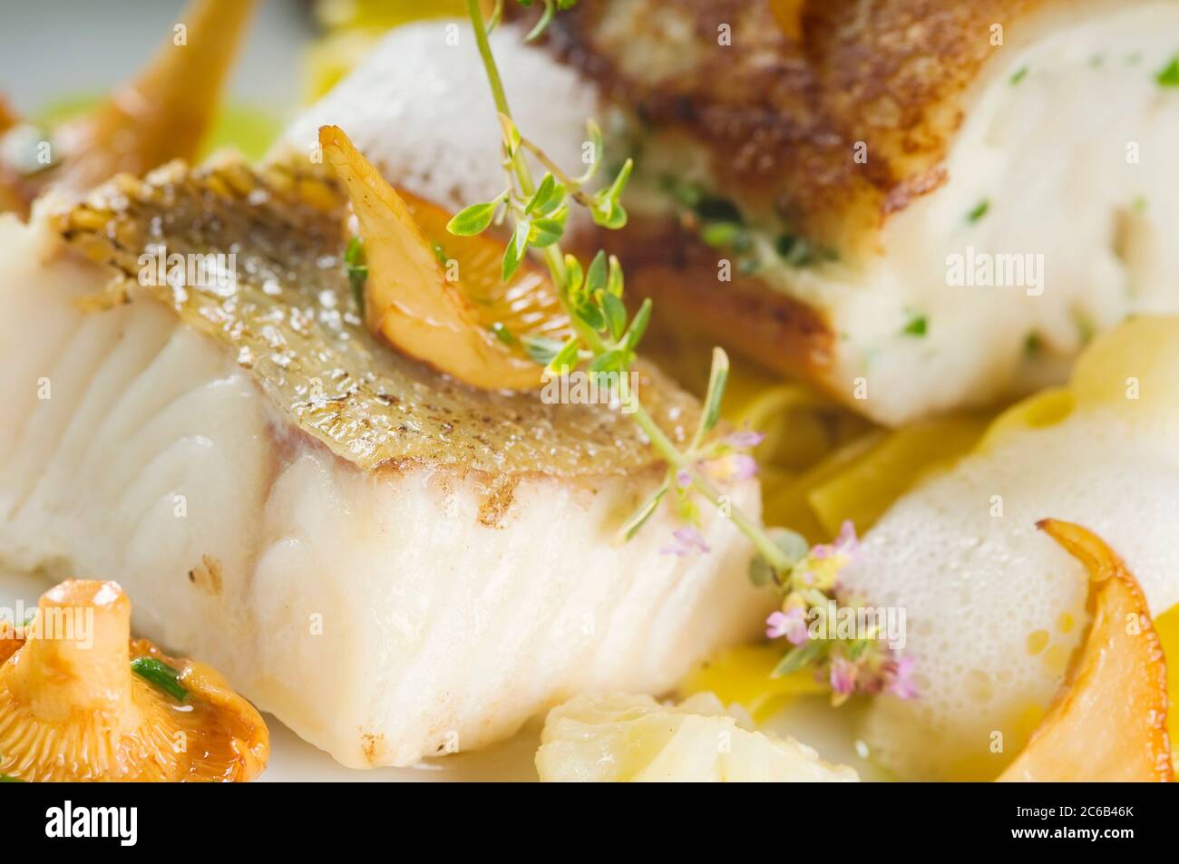 Baked zander fillet on a plate. Delicious fish meal - walleye fillet ...