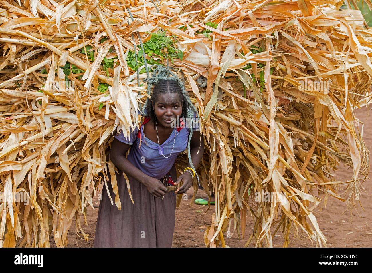 South african tribes hi-res stock photography and images - Alamy