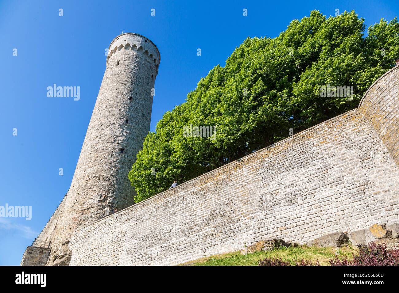 Medieval Toompea castle in old town in Tallinn in a beautiful summer ...