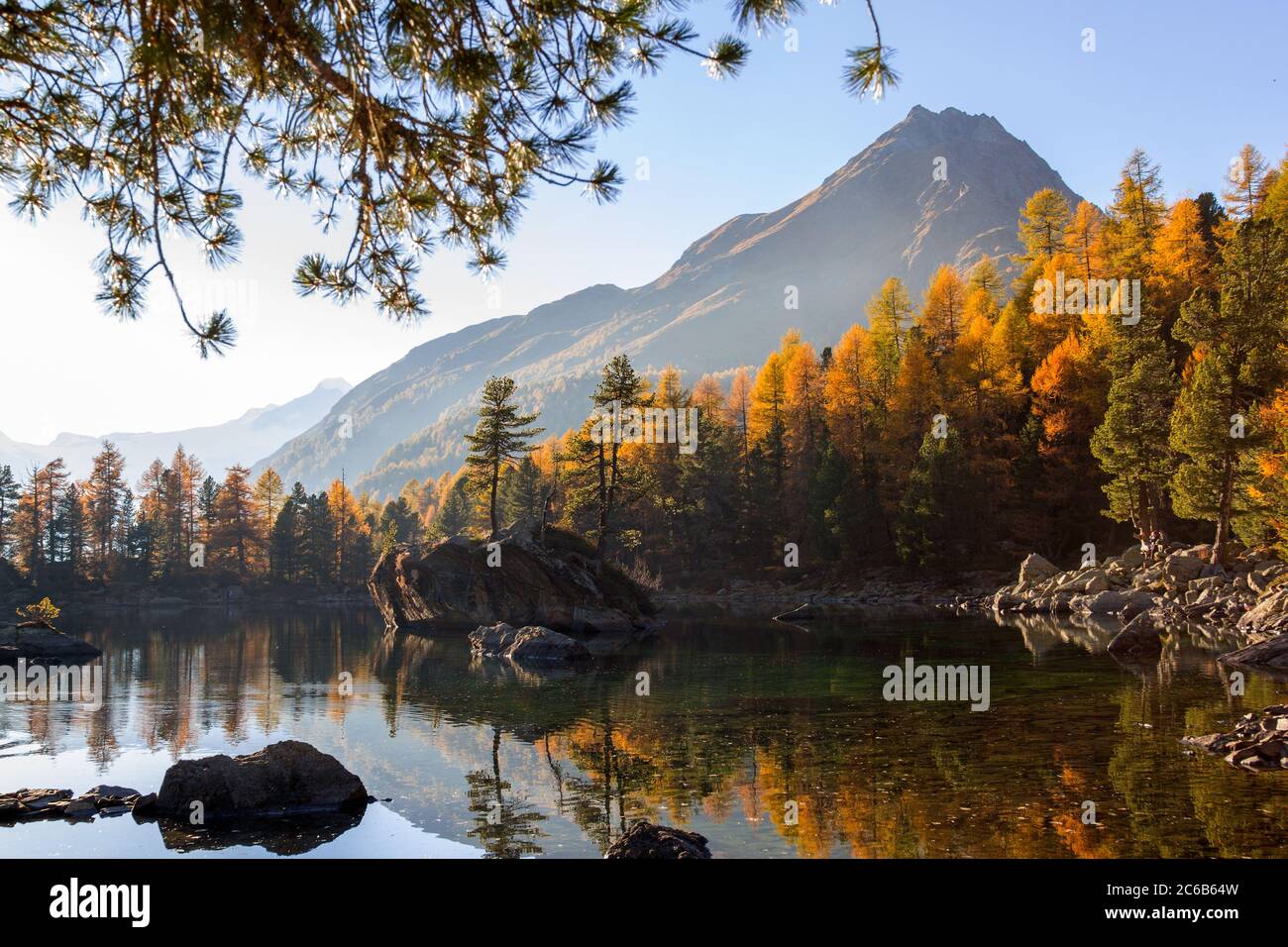 Sunset at the Lake Saoseo with yellow larch trees in fall season ...