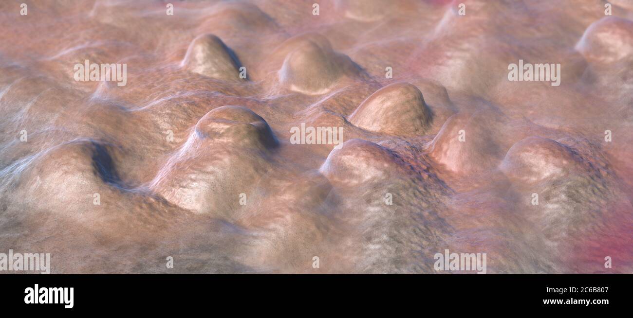 alien terrain with craters made in 3d software Stock Photo - Alamy