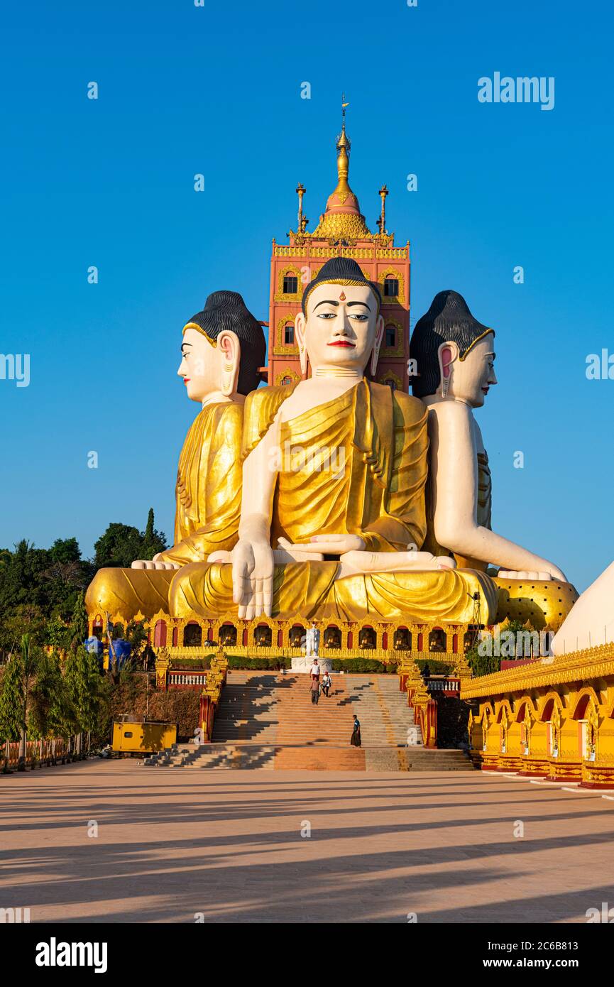Pupawadoy hi-res stock photography and images - Alamy
