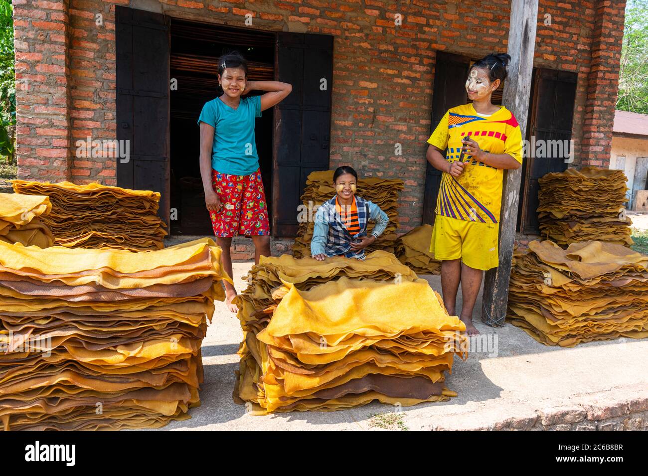 Local workers at a Rubber plantation near Myeik (Mergui), Myanmar ...