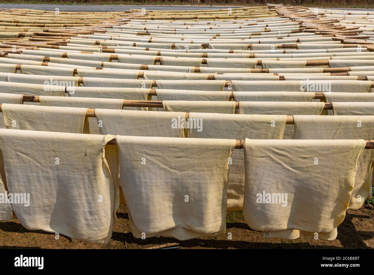 Fresh made rubber sheets at a Rubber plantation near Myeik (Mergui ...