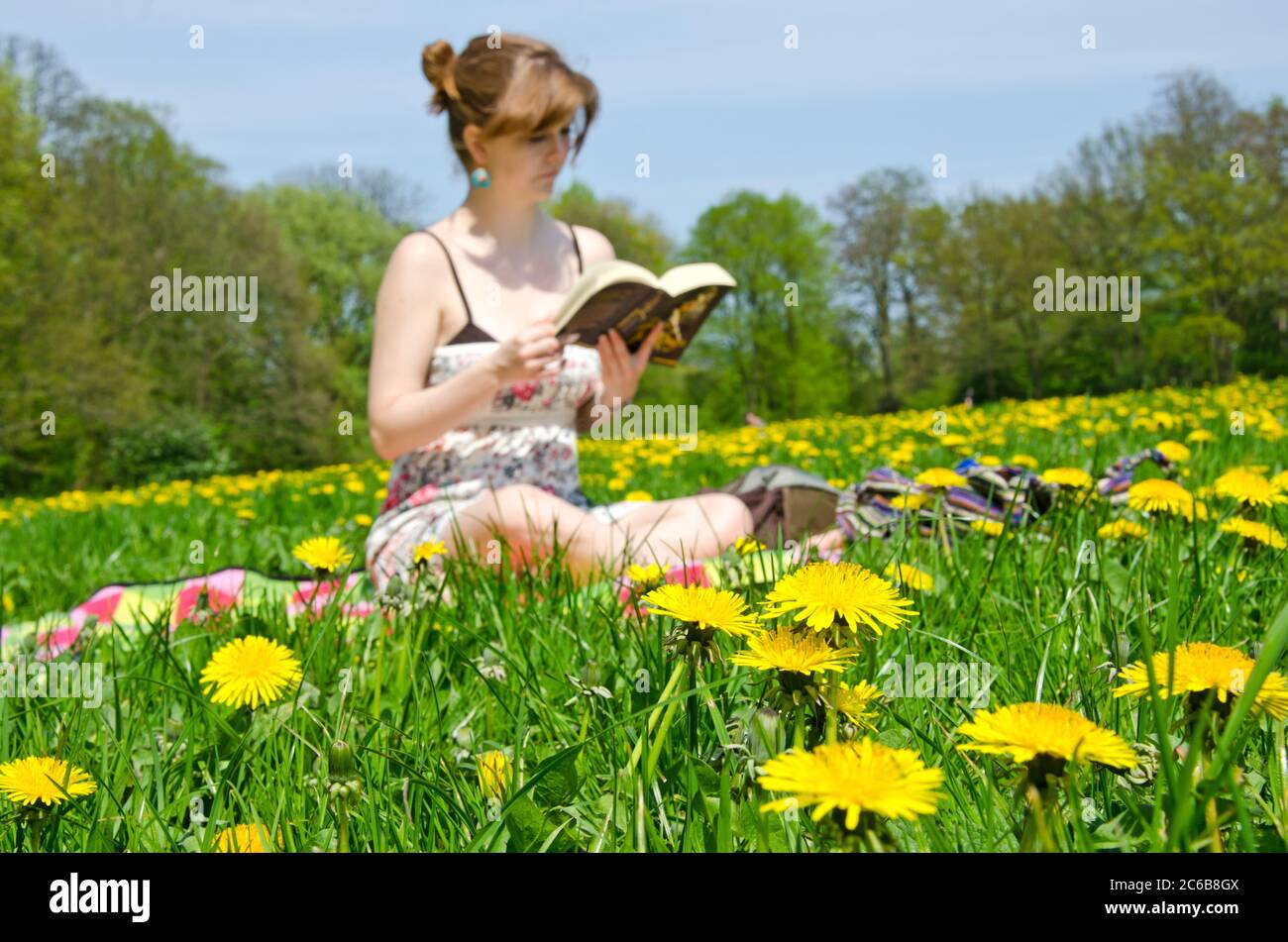 Woman reading book garden flowers hi-res stock photography and images ...