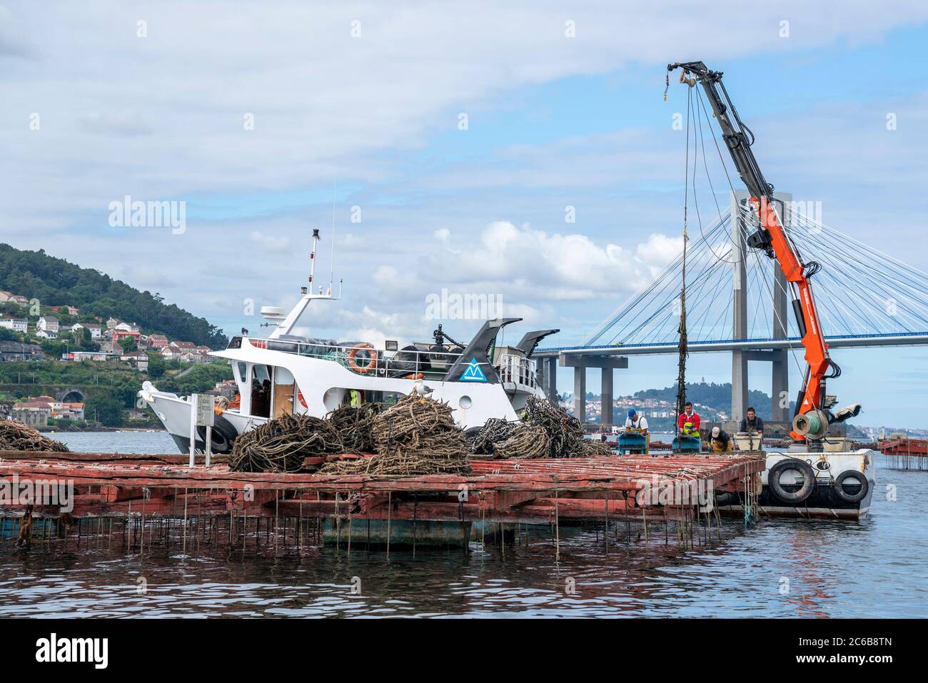Aquaculture raft hi-res stock photography and images - Alamy