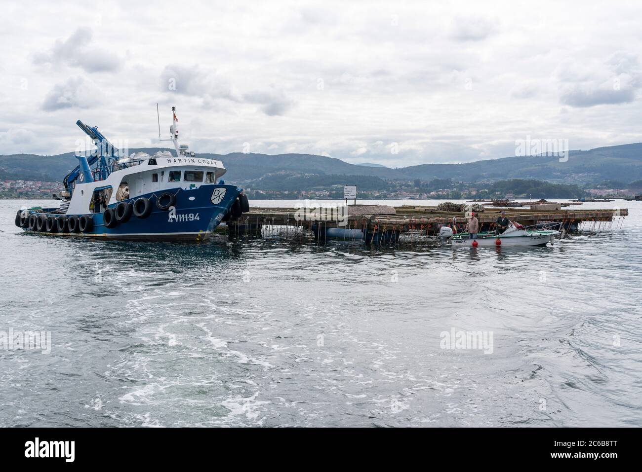 Mussel farming aquaculture rafts in Redondela, Galicia, Spain, Europe ...