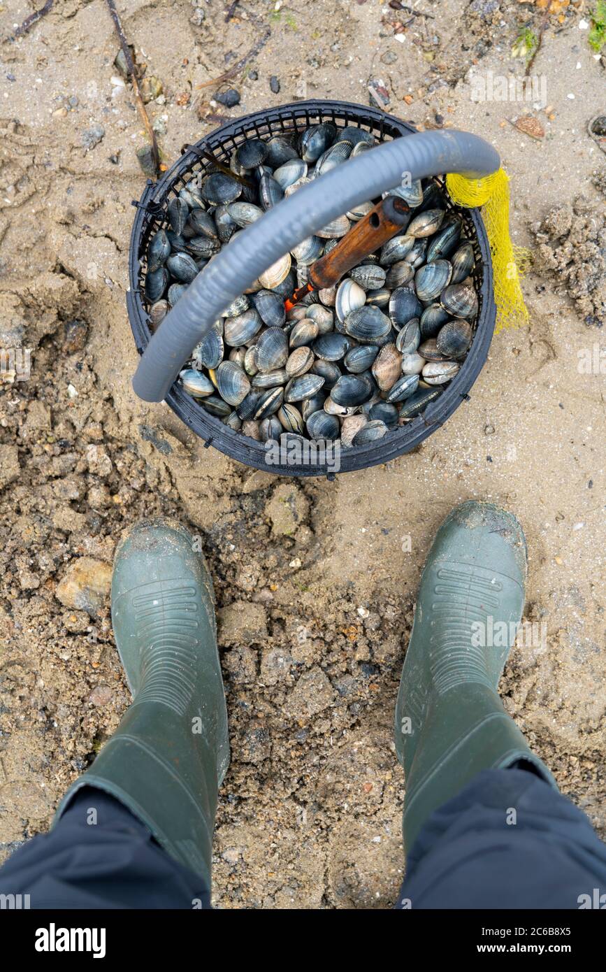 Clam shell bucket hi-res stock photography and images - Alamy