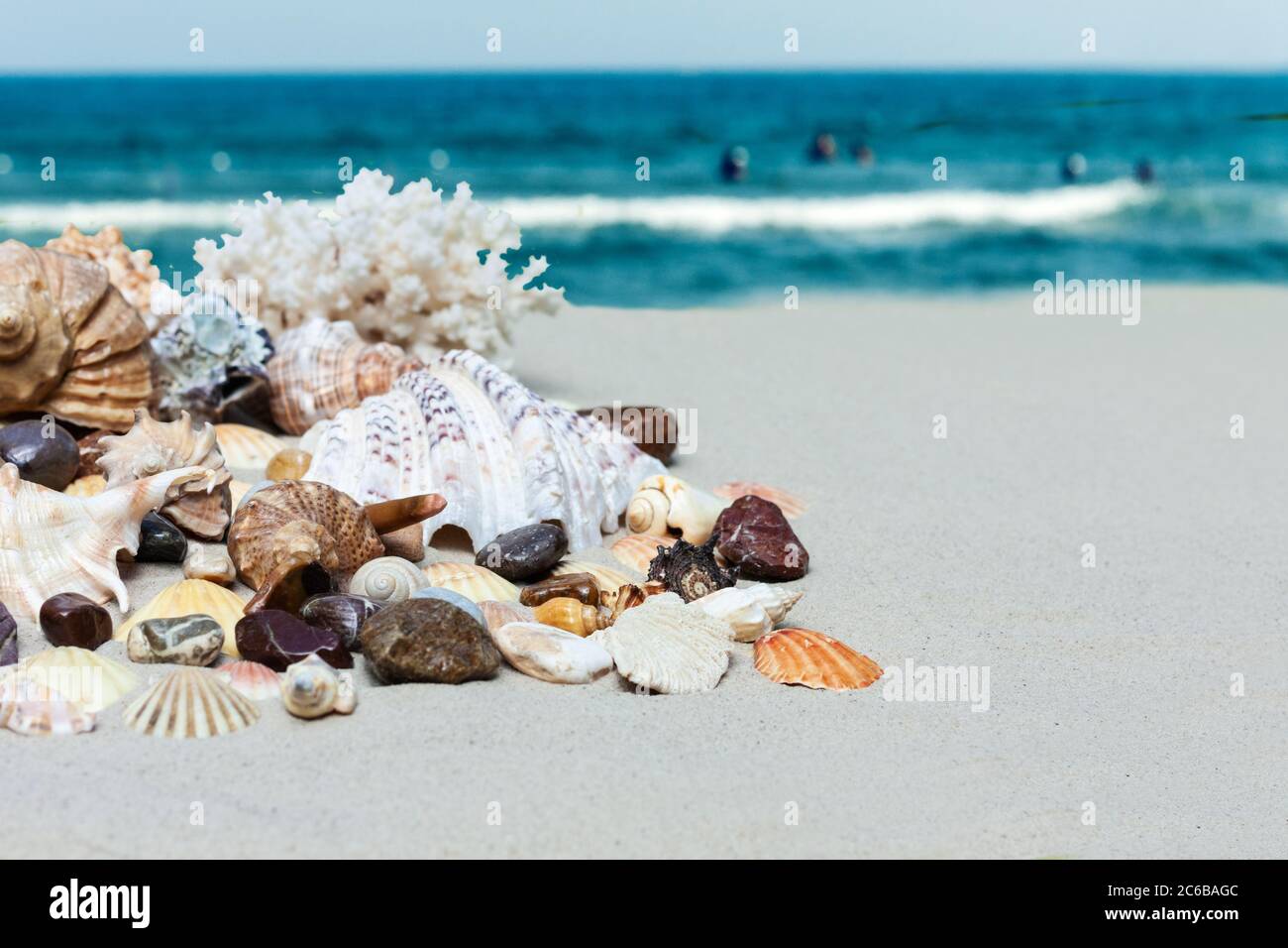 Seashells, sea stars, coral and stones on the sand, summer beach sea ...