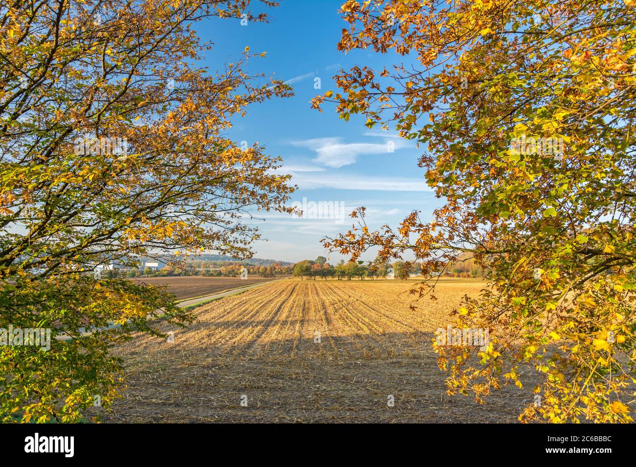 Rural landscape with a field and trees in the fall Stock Photo - Alamy