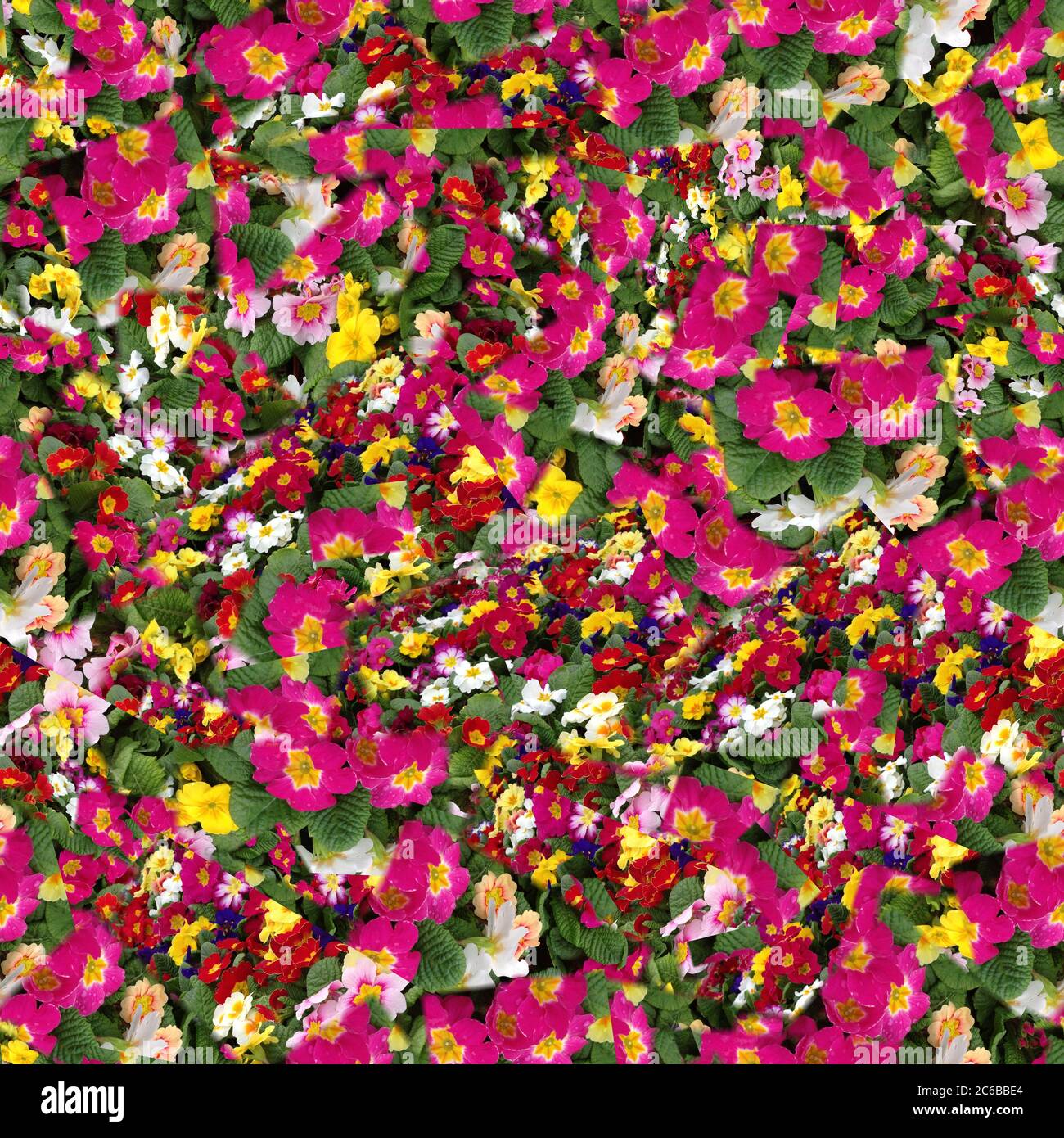 Pretty dark floral daisy texture background. Variegated bold realistic ...