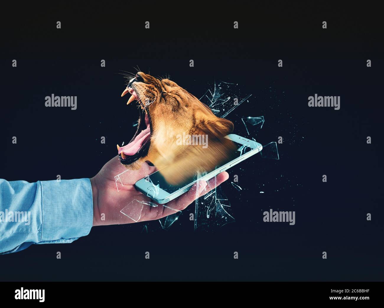 Lions had coming out of the mobile phone screen Stock Photo - Alamy