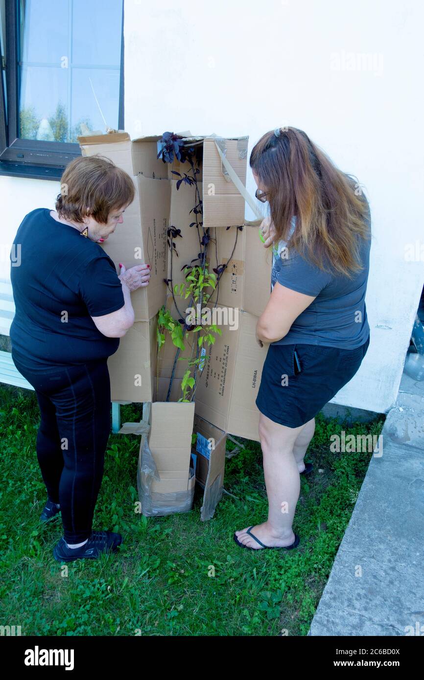 Opening A Cardboard Box High Resolution Stock Photography and Images ...