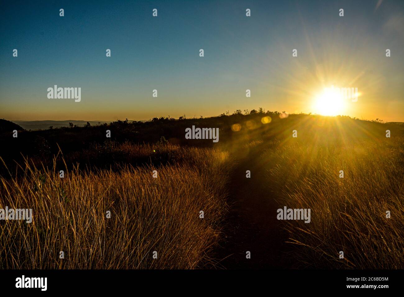 Sunset in the wild Stock Photo - Alamy