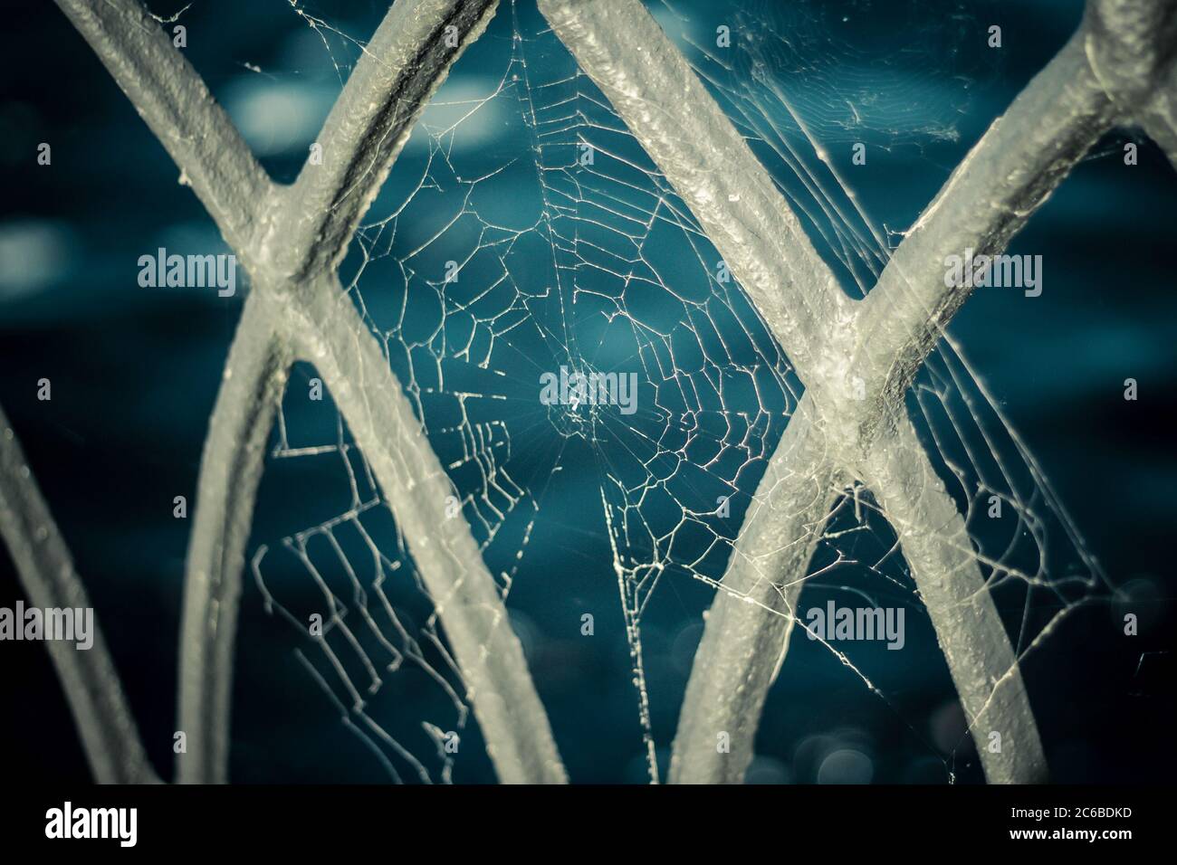 Spider web on a forged gray metal fence Stock Photo - Alamy