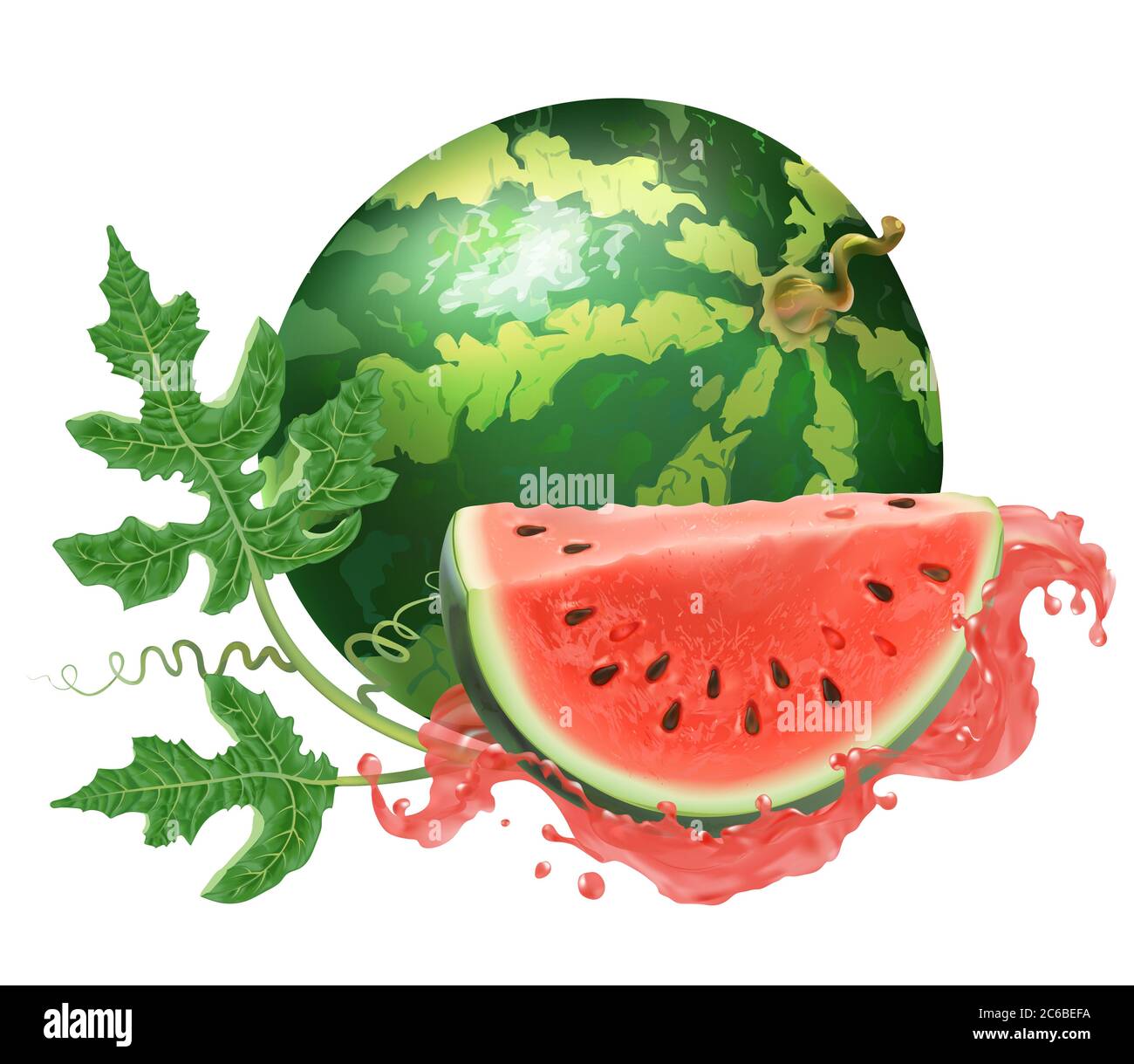 Whole watermelon with water splash hi-res stock photography and images ...